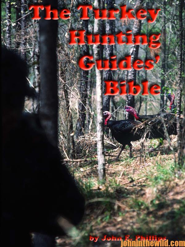 How to Take Early Season Turkeys Day 1: Search for Turkeys on Rainy ...