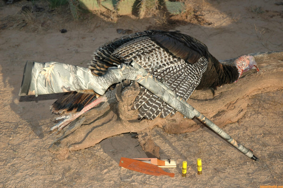 Lessons Learned to Take Bad Turkeys with J. Wayne Fears Day 5: Taking ...