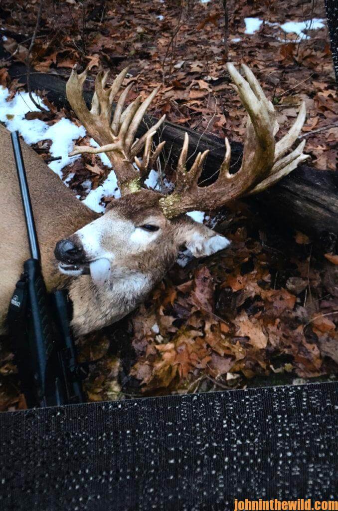 Luke Brewster – Took the World’s Record Deer and Others Who Have Bagged ...