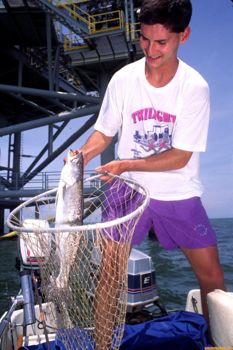 How to Catch August’s Inshore and Offshore Saltwater Fish Day 1: Catch ...