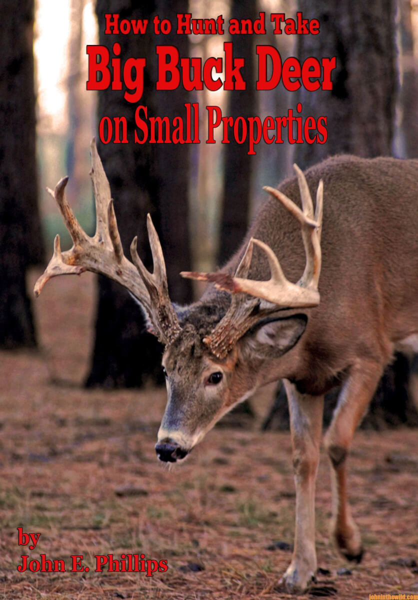 Luke Brewster – Took the World’s Record Deer and Others Who Have Bagged ...