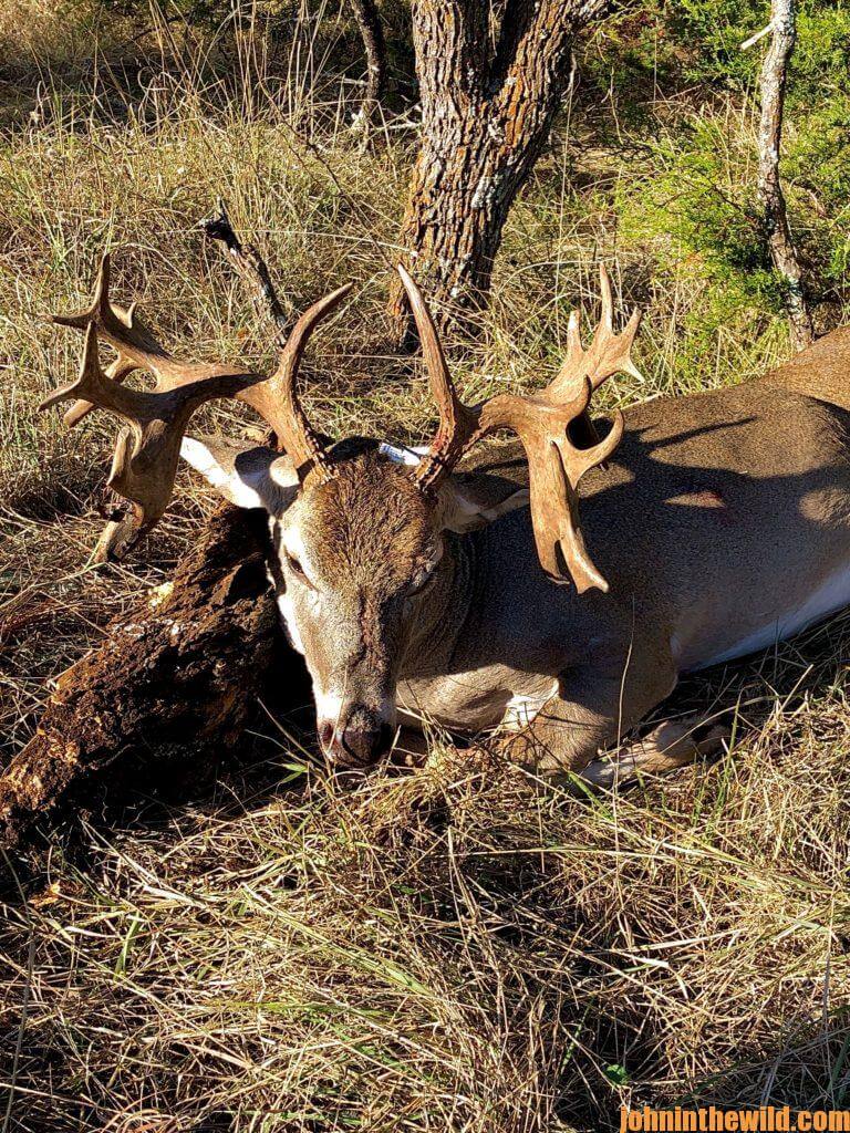 Five Deer Hunters Tell How Their Dreams Came True Day 4: Goofy the ...