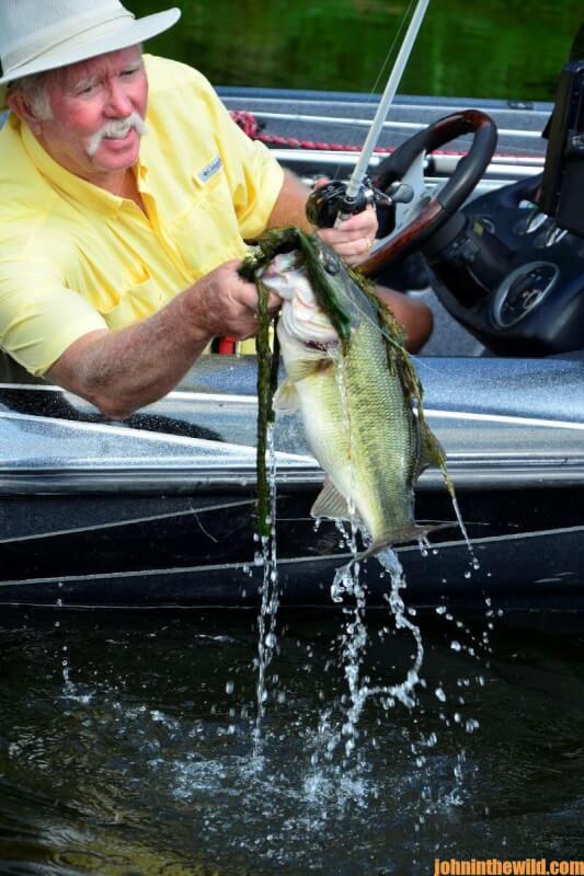 Catching Summertime Bass in Grassy Lakes Day 5: Understand Grassy Lake ...