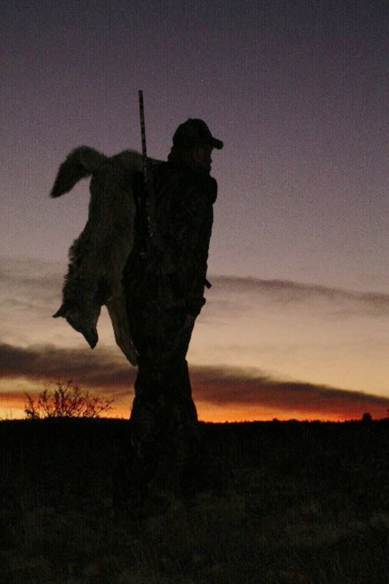 Learning More about Deer Day 2: Learn More about Coyotes & Deer - John ...